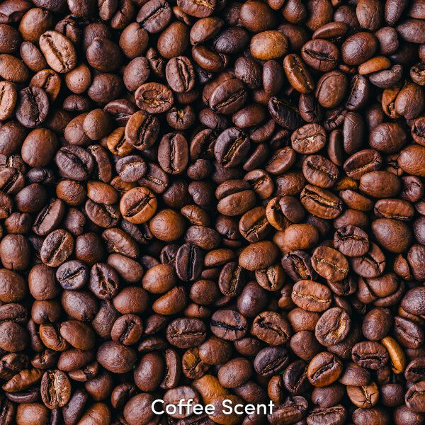 HB COFFEE SCENT