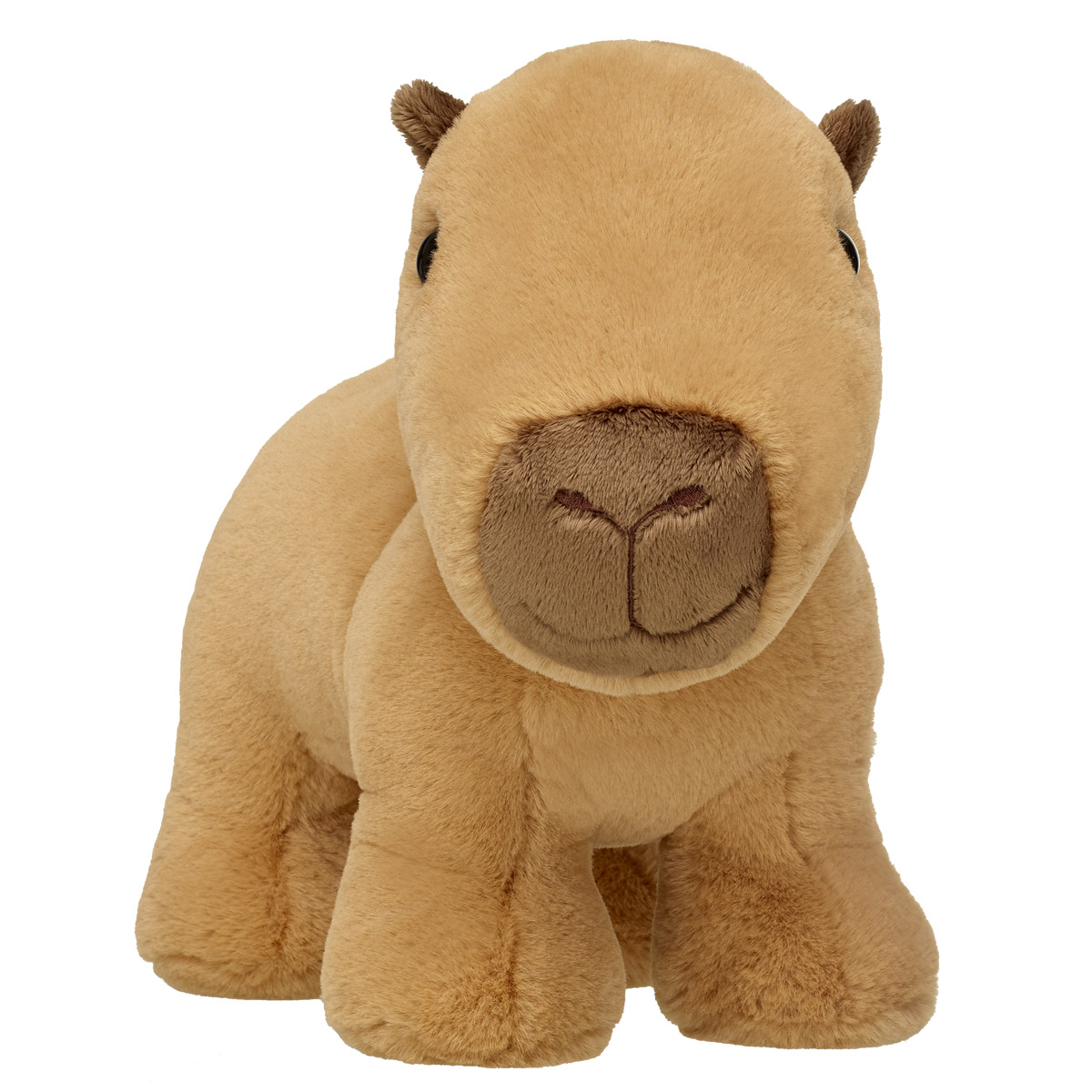 Capybara Soft Toy