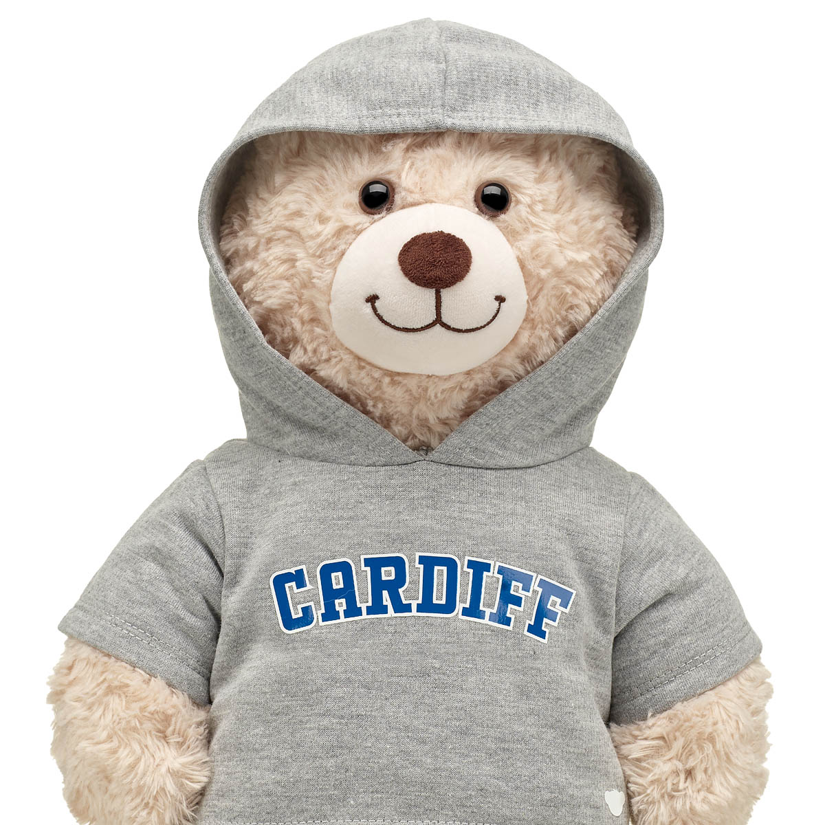 Cardiff Hoodie