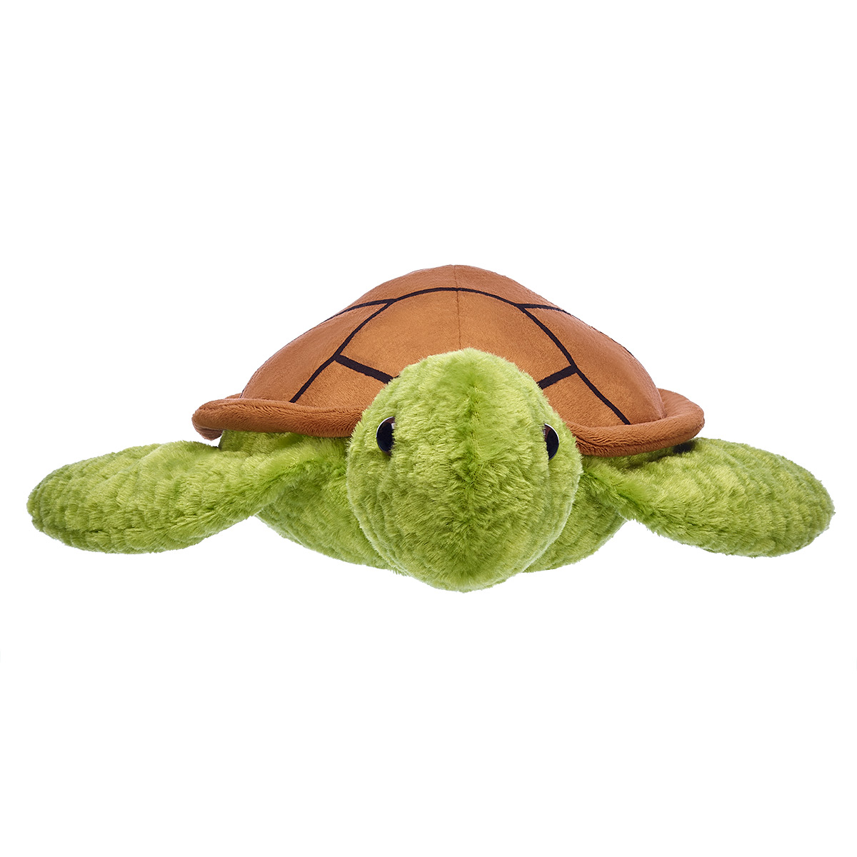 Green Sea Turtle Soft Toy | Online Exclusive at Build-A-Bear®